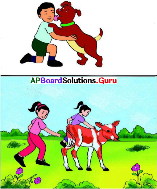 AP Board 7th Class English Solutions Unit 7 The Bond Of Love AP Board