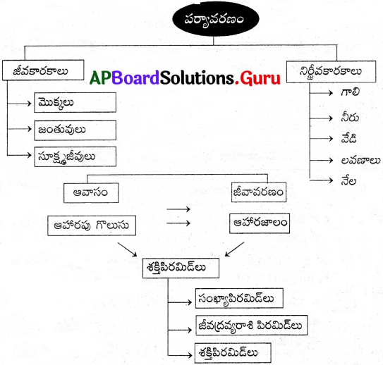 AP 10th Class Biology Important Questions 9th Lesson AP 10th Class Biology Important Questions 9th Lesson